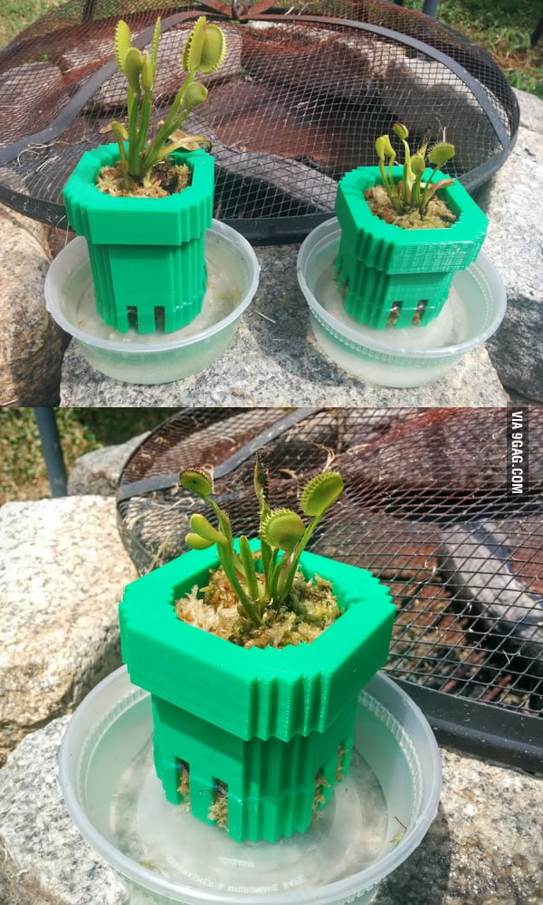 Flytrap Warp Pipes - 9GAG
