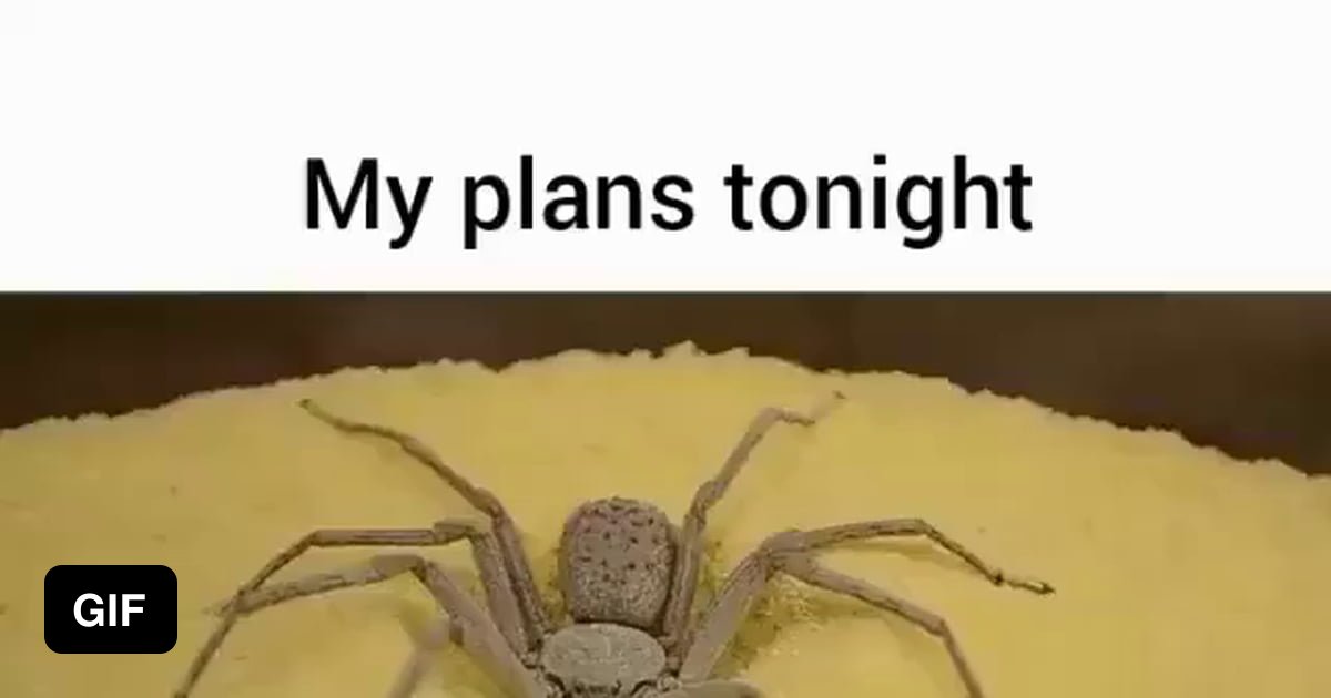 My plans tonight - 9GAG