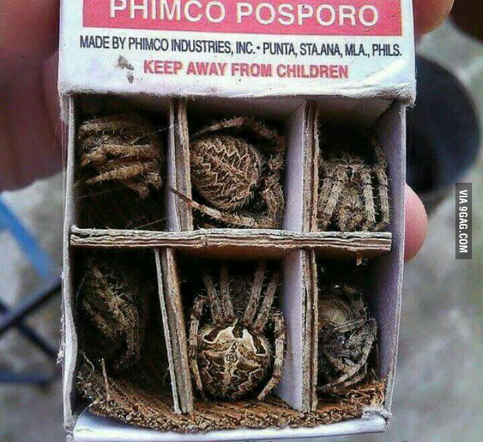 In the Philippines children plays with spiders. - 9GAG