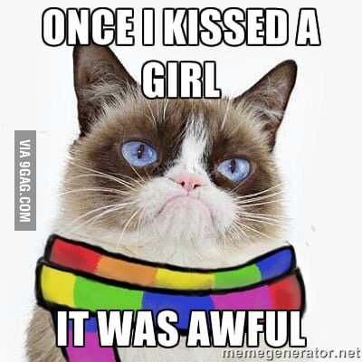 Grumpy Gay Cat - 9GAG