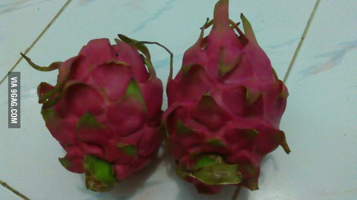 Closest thing we have to devil's fruit: buah naga (dragon fruit) - 9GAG