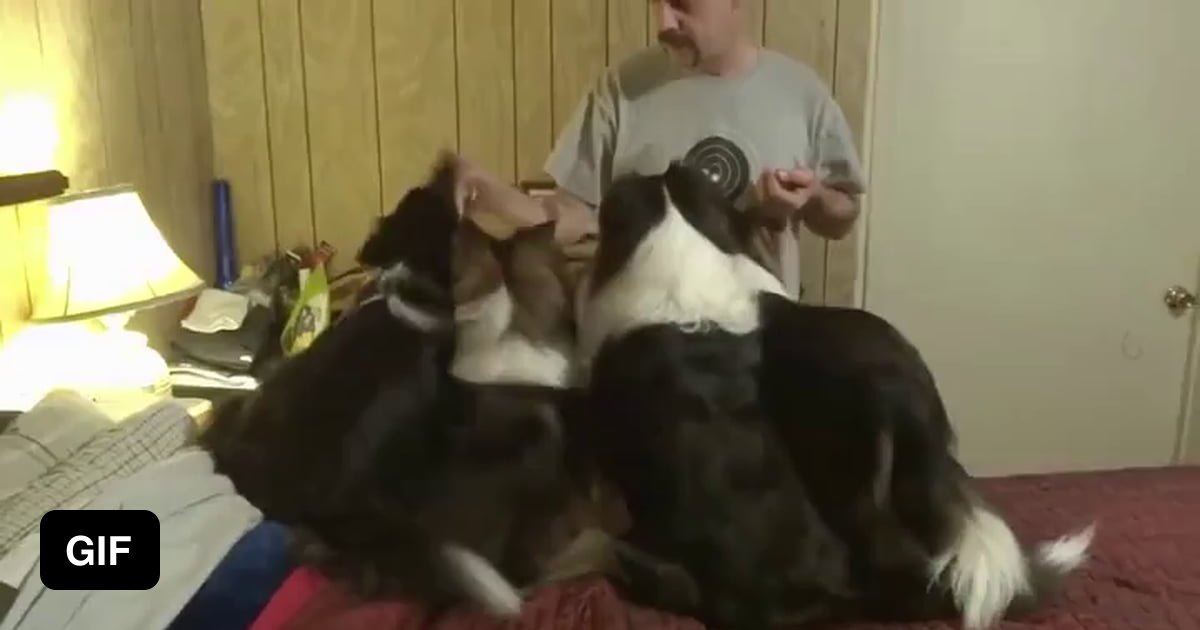 Pretty sneaky, puppy. - 9GAG