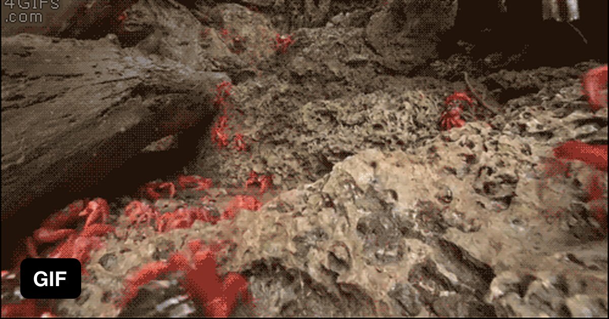 Hey Mom 9gag