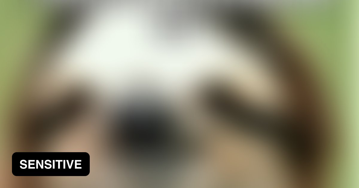 Rape sloth... - 9GAG