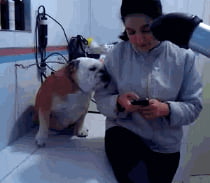 When I'm horny but my girlfriend says she's not in the mood... - 9GAG