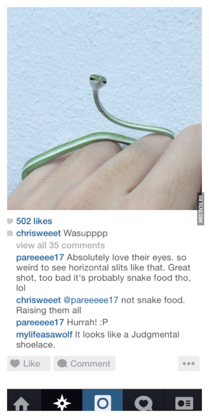 Judgmental shoelace is judgmental. - 9GAG