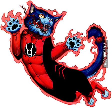 Did you know there is a Red Lantern cat named Dex-starr - 9GAG