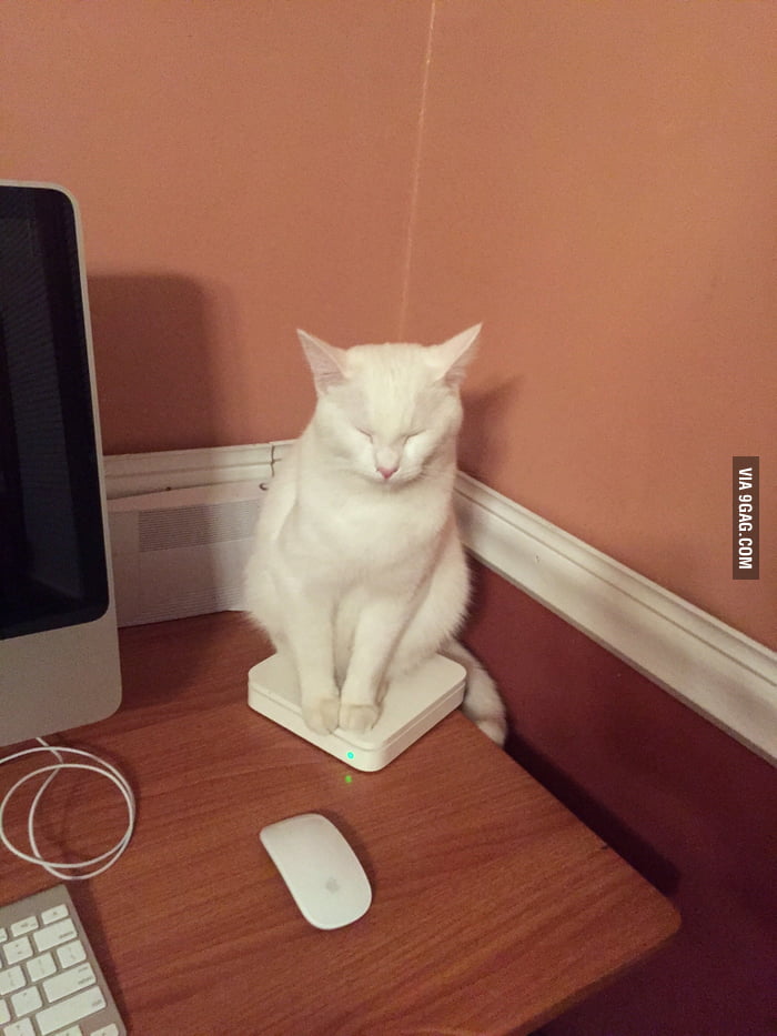 I-cat. - 9GAG