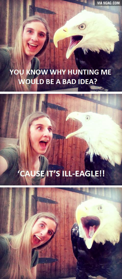ILL-Eagle - 9GAG