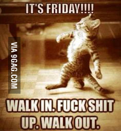 Hell Yeah..!! Its Friday..!! - 9GAG