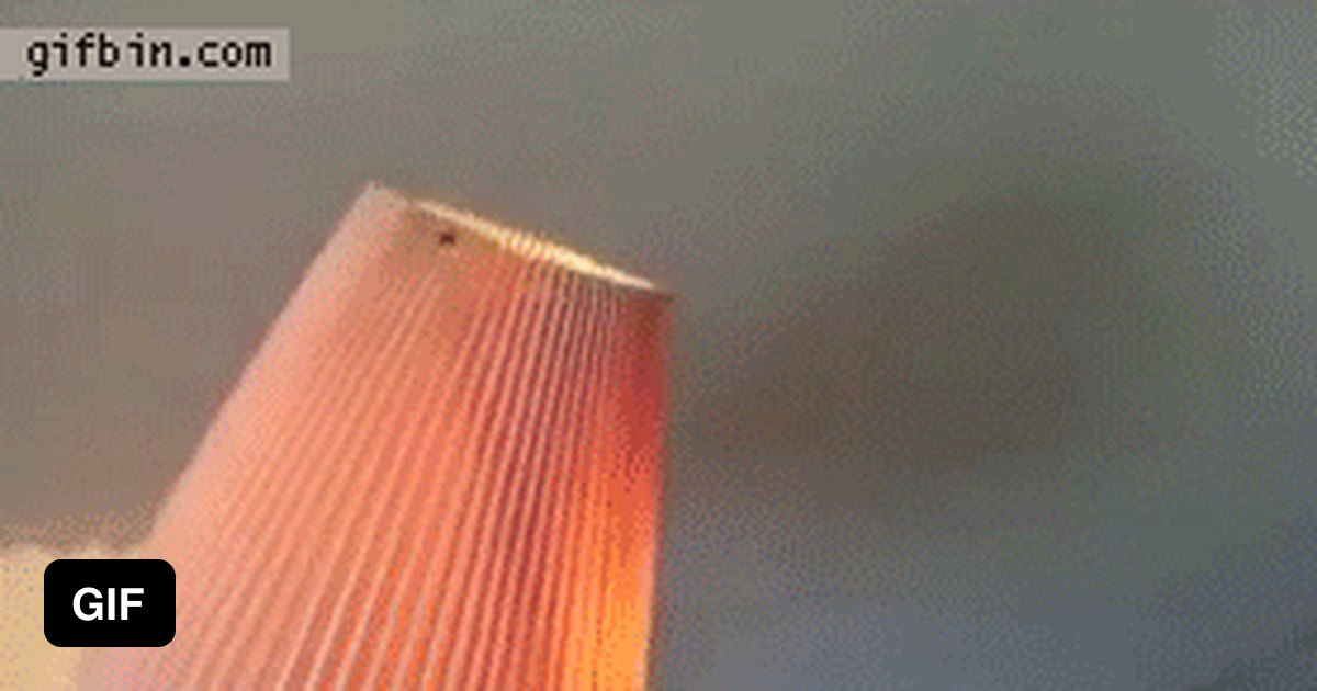 Mantis fly swatter - 9GAG