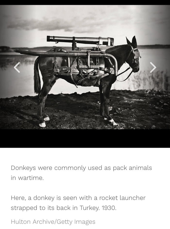 Rocket Donkey - 9GAG