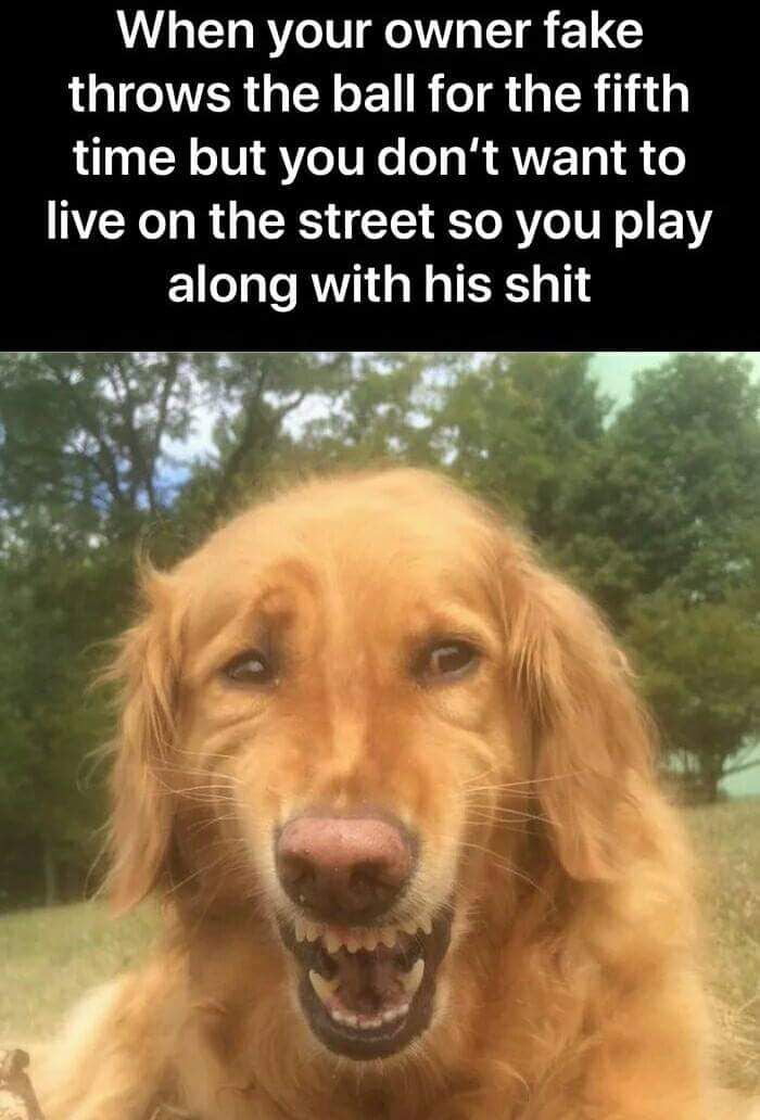 Ain't no fool - 9GAG