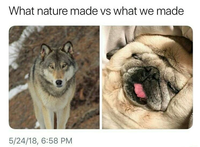 Not wrong though - 9GAG