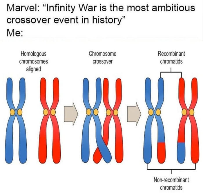 Chromosome crossover - 9GAG