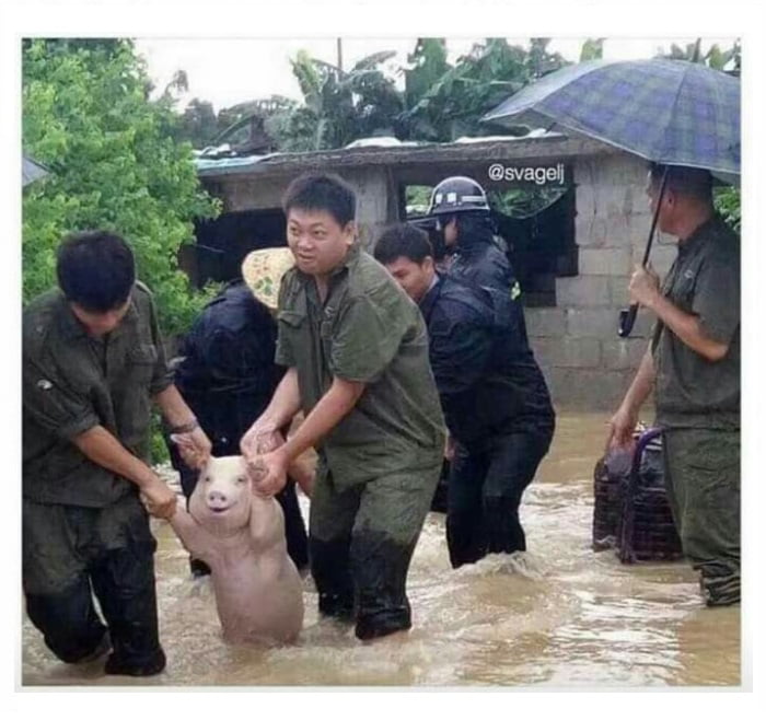Me being escorted out of the all you can eat Chinese buffet - 9GAG