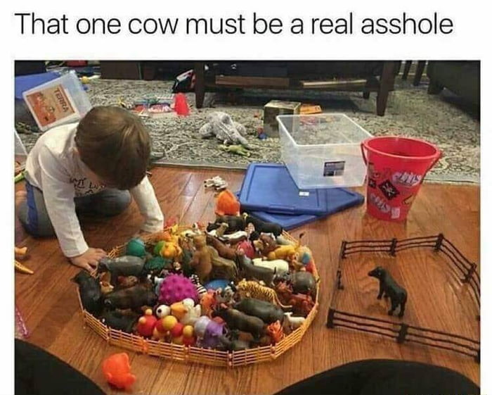 That cow though - 9GAG