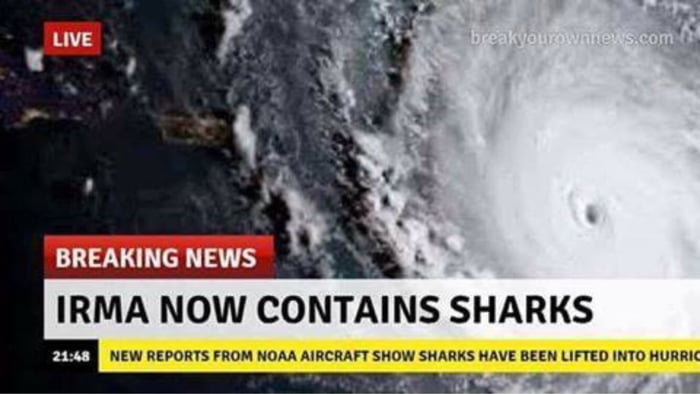Sharkicane 9gag
