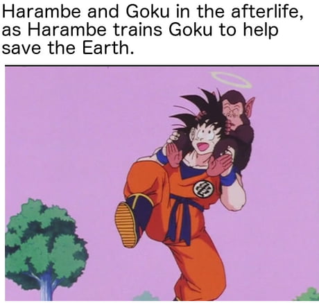 Best 30+ Dragon Ball Z fun on 9GAG