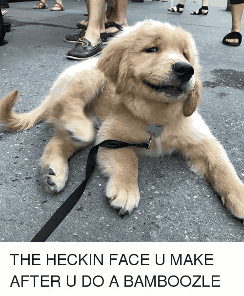 The heckin face you make after you do a bamboozle - 9GAG