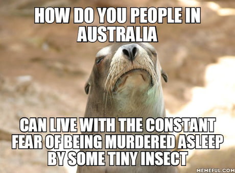 Best 30+ Australia fun on 9GAG