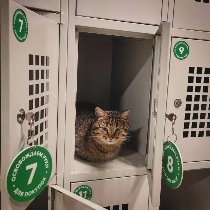 Guard of your things in the store - 9GAG