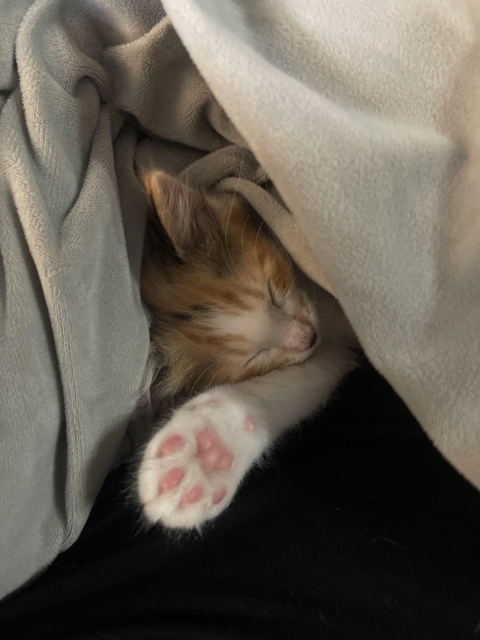 Showing off her beans - 9GAG