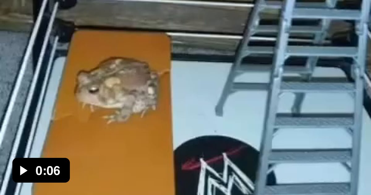 FIVE STAR FROG SPLASH - 9GAG