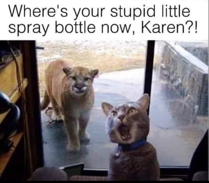 Kitty says what? - 9GAG