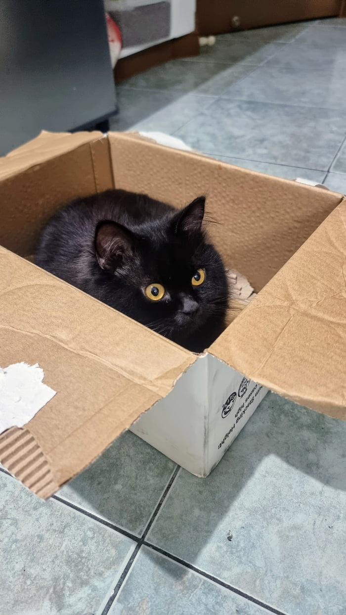 My Good Void in le box - 9GAG