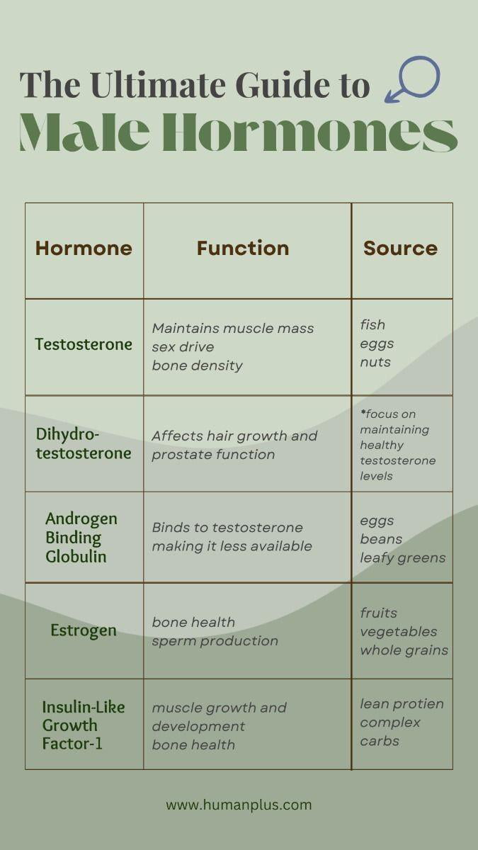 A cool guide for male hormones - 9GAG