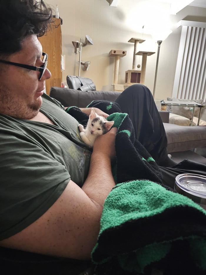 Roommate got a new kitten; meet Cloud! - 9GAG