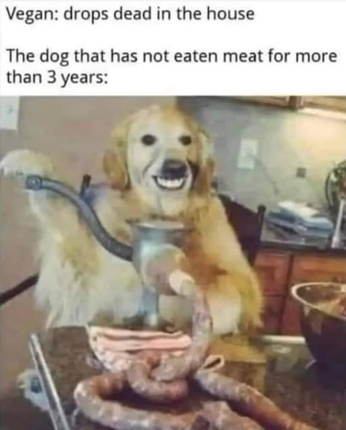 Insert Caption - 9GAG