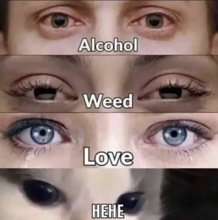 Those Damn Eyes - 9GAG