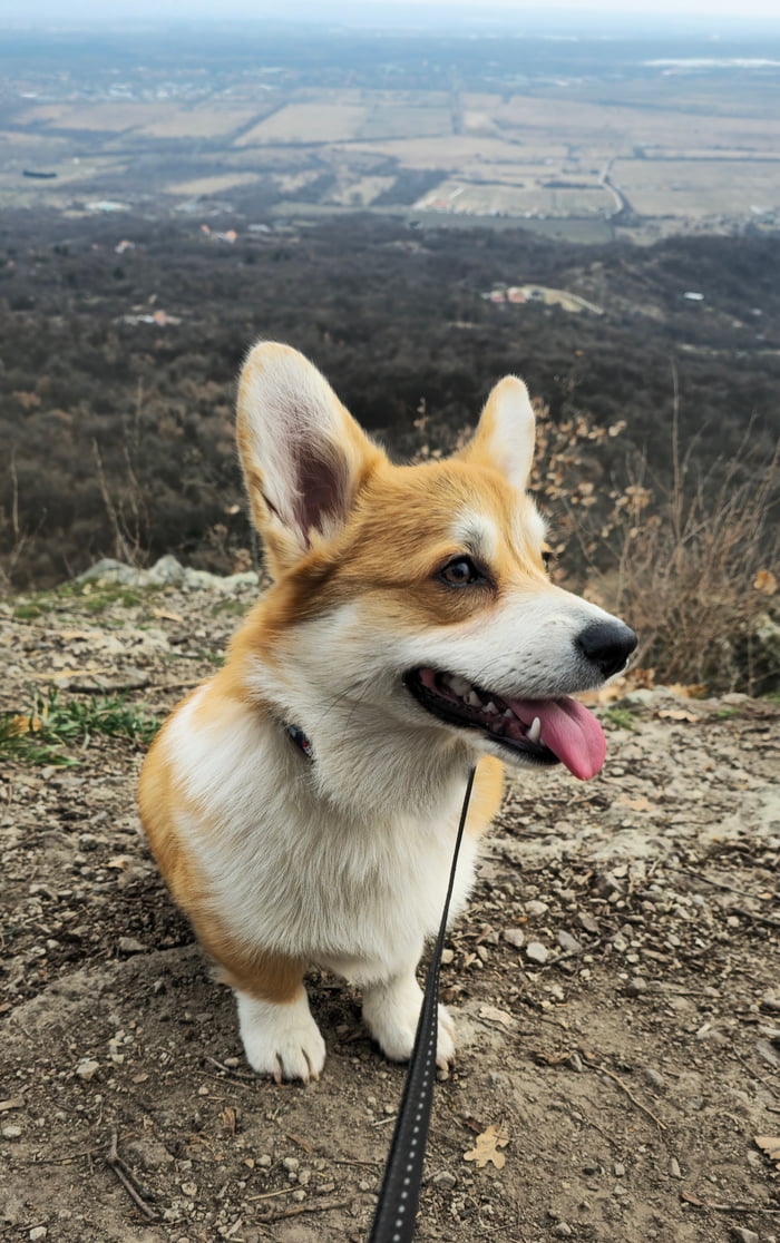 One can only hope to be as photogenic as Szotyi - 9GAG