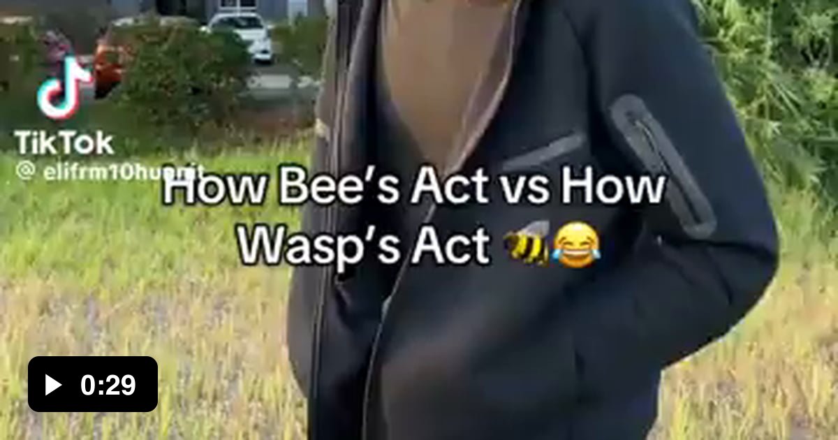How bees act vs how wasps act - 9GAG