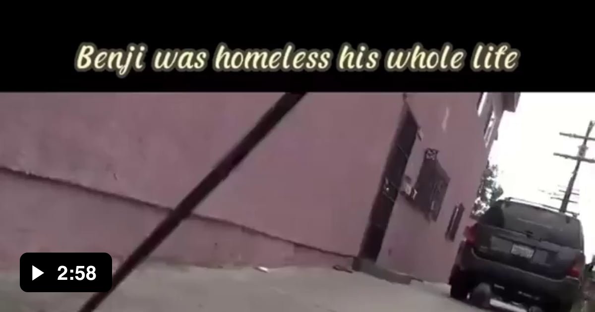 Homeless And Extremely Matted Dog Rescued And Transformed - 9GAG