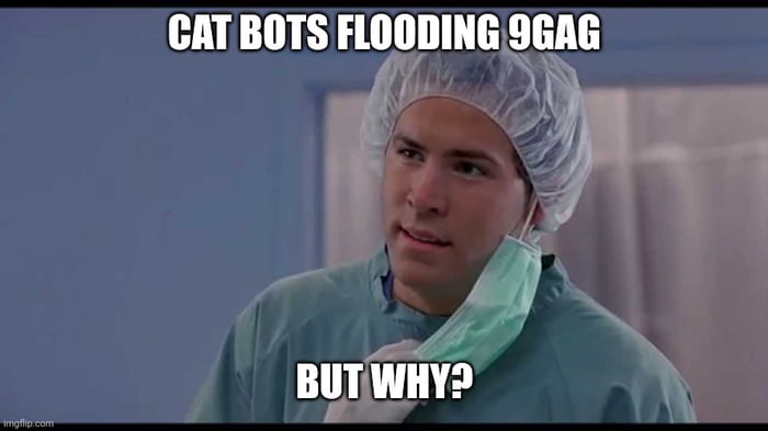 I dont get it. F all bots. - 9GAG