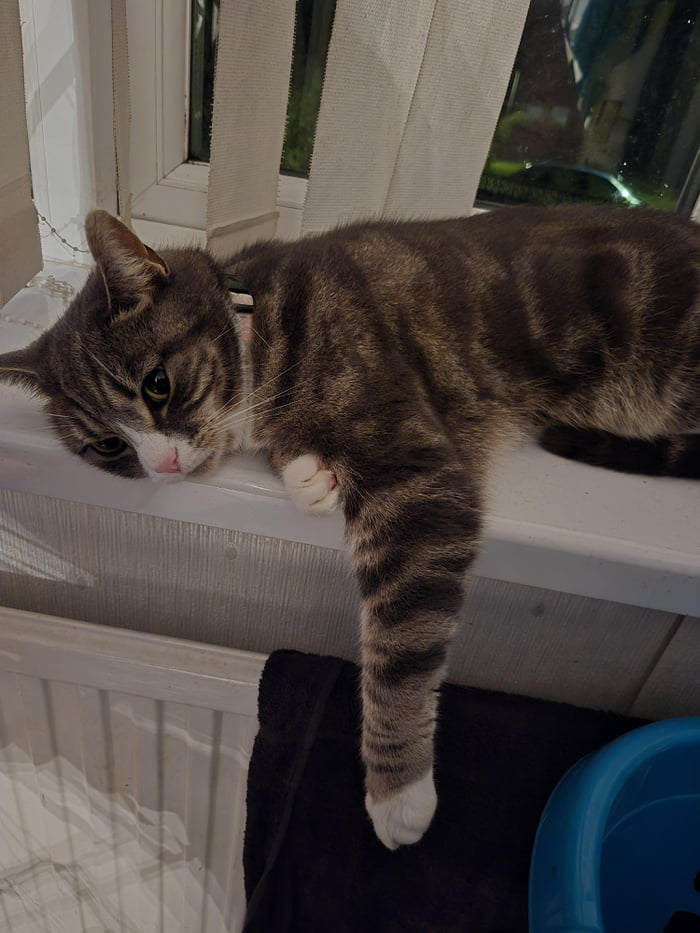 The radiator is keeping me warm 🥰 - 9GAG