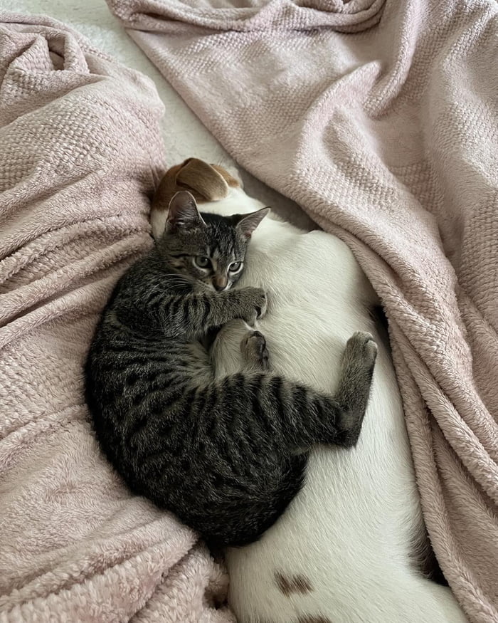 You know they gonna be good sisters when you find them like this on the first day - 9GAG