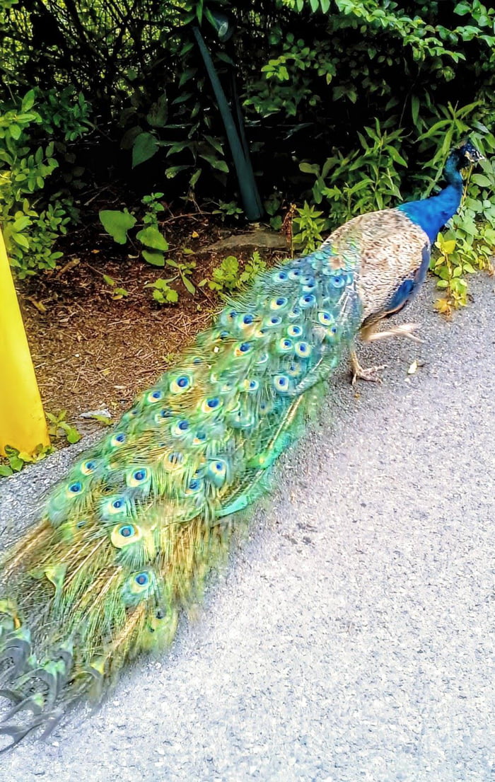 Nature's artwork on full display. - 9GAG