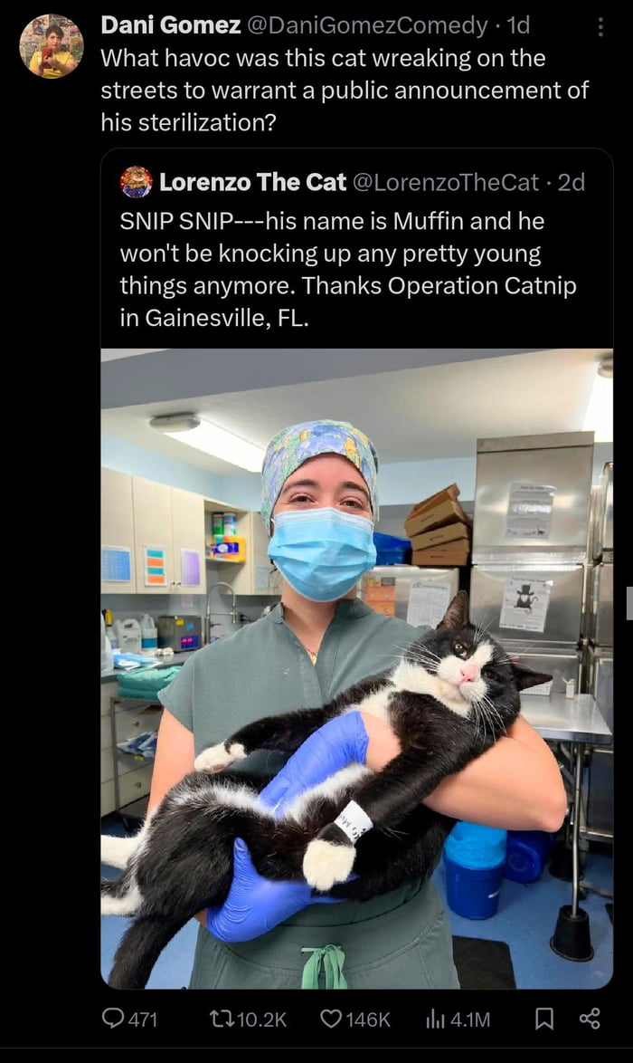 Muffin, The Snipped - 9GAG