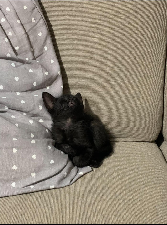 Illegally smol eepy void - 9GAG