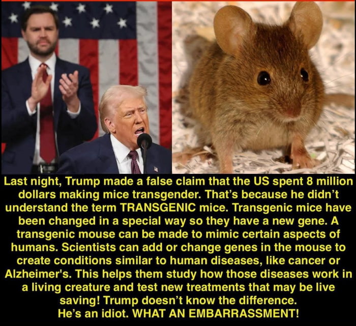 Mice have been the unsung heroes of medical research for decades. These mice gave their lives ...