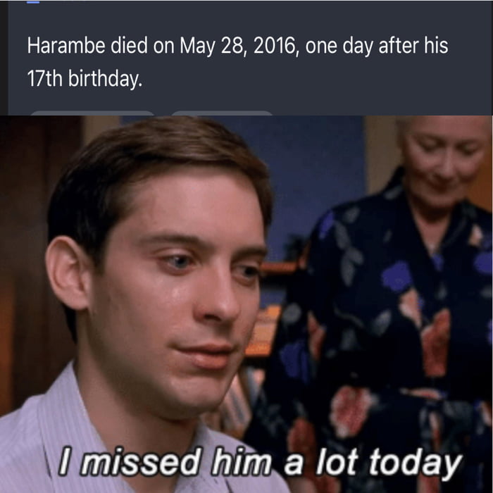 Still not over it. - 9GAG