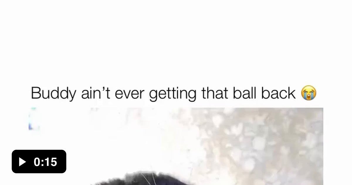 That ball is gone forever, buddy. - 9GAG