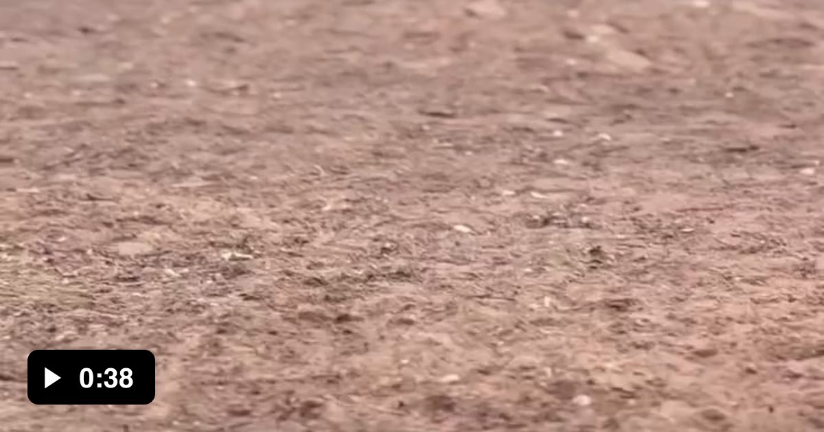 RIP delivery guy - 9GAG