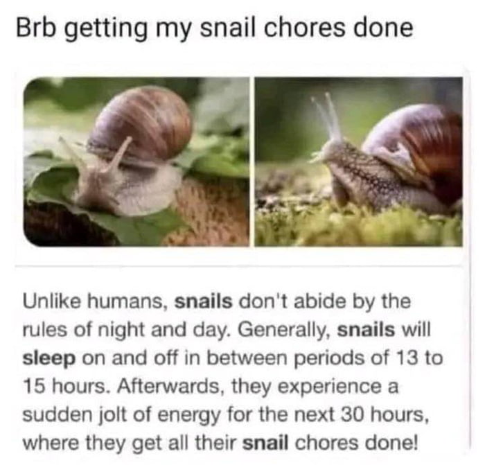Relatable snail content - 9GAG
