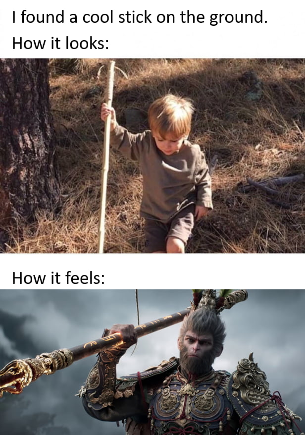 It's a great stick - 9GAG