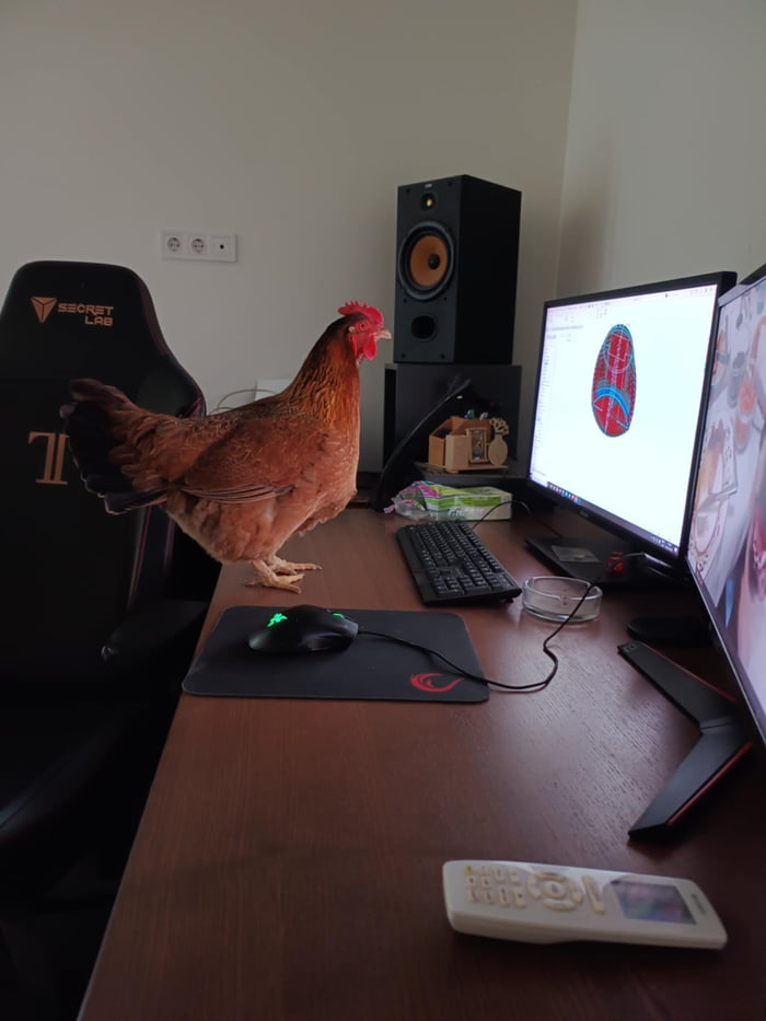 I think its evolving - 9GAG